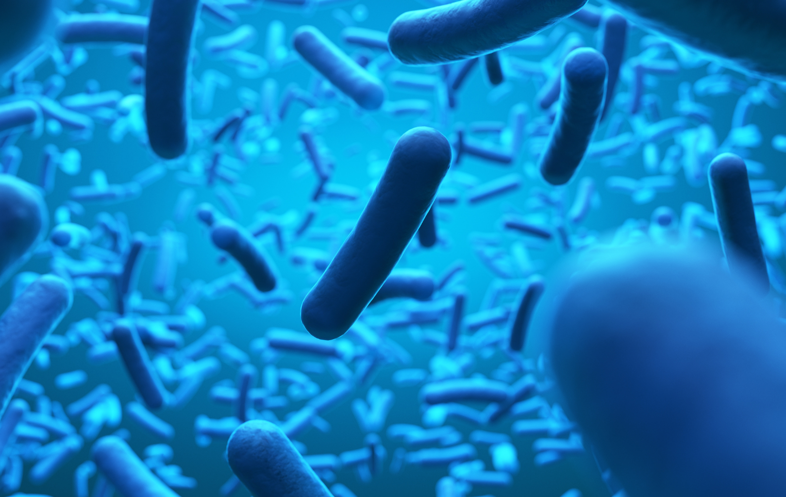 The world’s oldest fossils or oily gunk? New research suggests these 3. ...