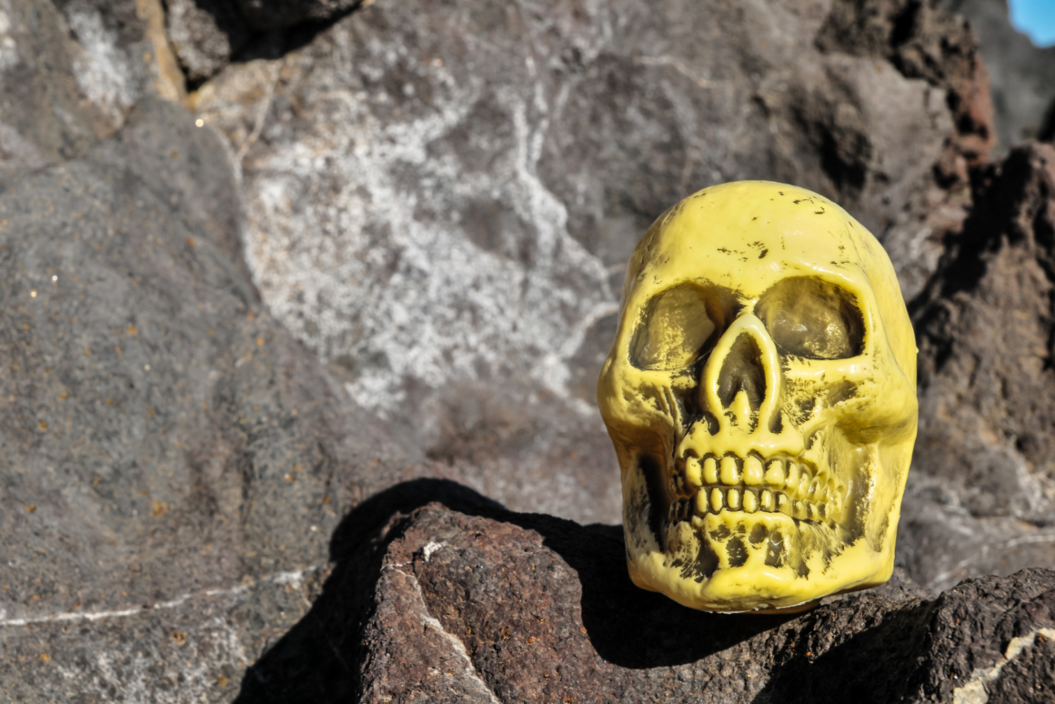 New Model of Human Evolution Challenges Long-Held Beliefs, Revealing ...