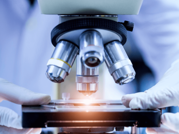 New “ILDA” Robotic Hand Combines Delicacy and Strength - Modern Sciences