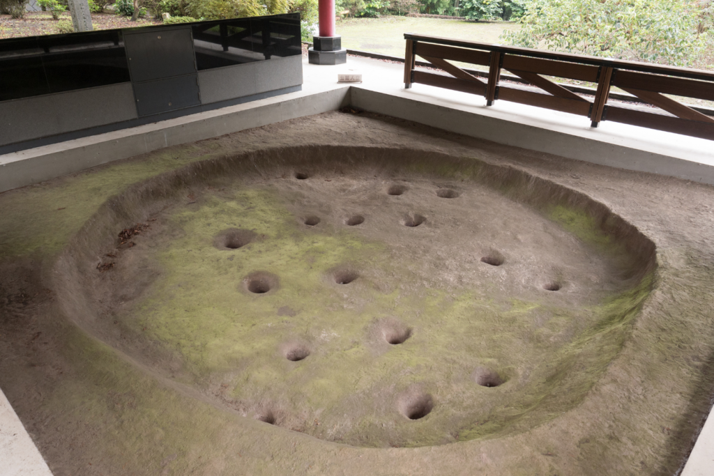 DNA Analysis Reveals “Tripartite” Japanese Genetic History - Modern ...