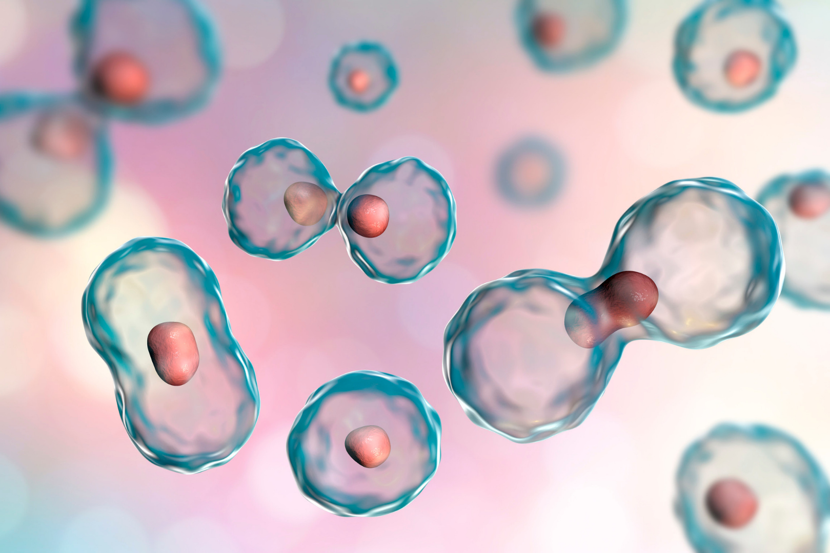 The First Cells May Have Divided Based on Temperature - Modern Sciences