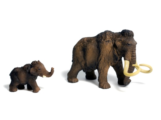 A fossil baby helped scientists explain how mammals thrived after the dinosaur extinction – new ...