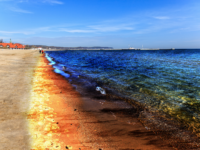 New “ILDA” Robotic Hand Combines Delicacy and Strength - Modern Sciences