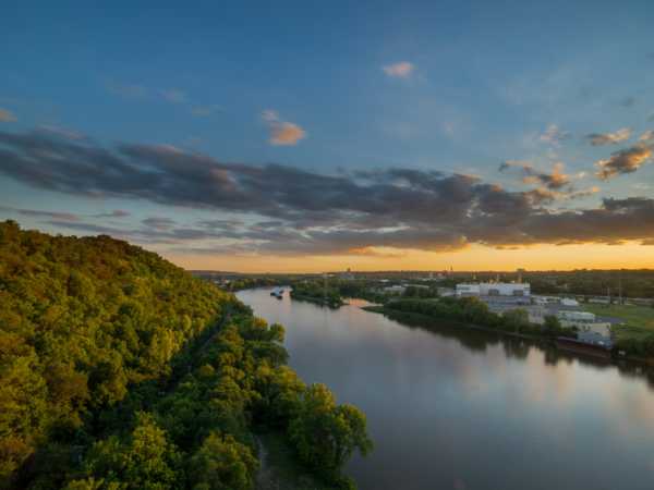 Australia’s Miocene Fossil “Trove” Reveals Its Tropical Past - Modern ...