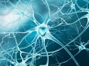 Another Look at Saturn V (With Luke Talley) - Modern Sciences