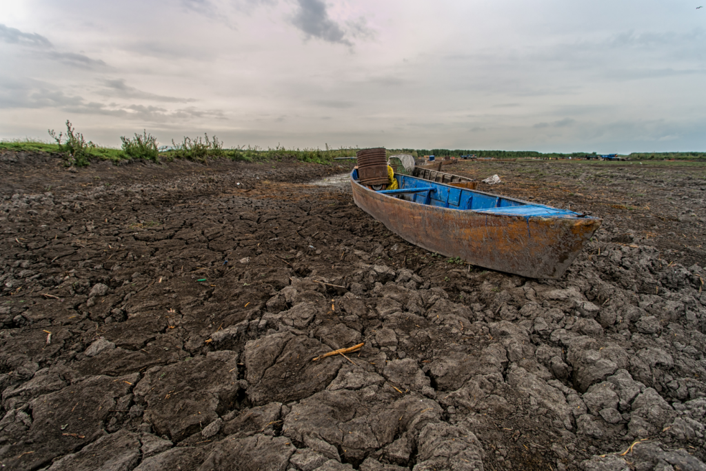 Mass starvation, extinctions, disasters: the new IPCC report’s grim ...