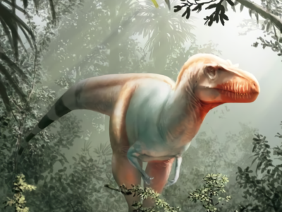 The Bone Wars: How a Bitter Rivalry Gave the Spotlight to Paleontology ...