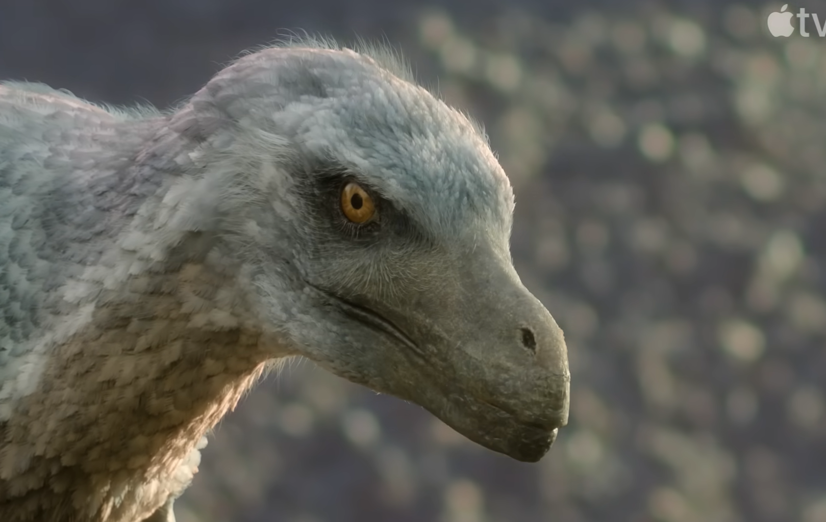 Prehistoric Planet: Feathery (Dino) Raptors - Modern Sciences