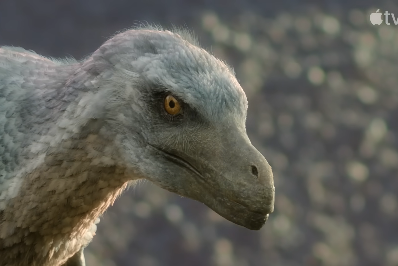 Prehistoric Planet: Feathery (Dino) Raptors - Modern Sciences