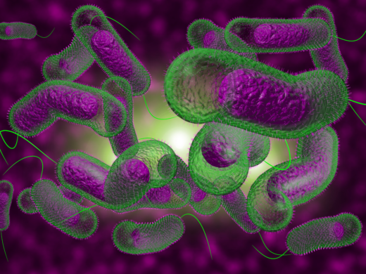 Chinese Fossil Find Yields 125 Million-Year-Old Preserved Dinosaur ...