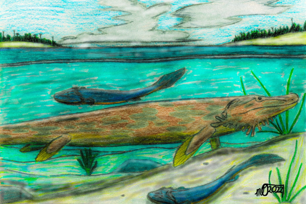 Qikiqtania: the Ancient “Fishapod” Which Returned to the Water (While Everyone Else Went to Land ...