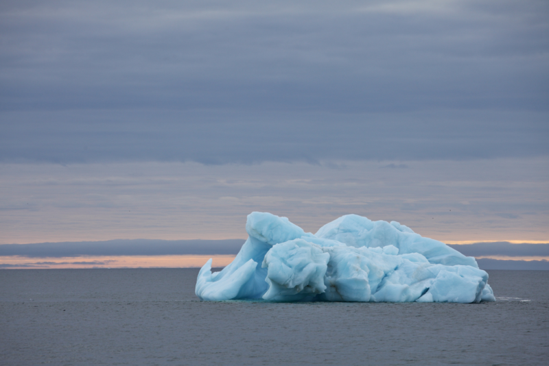 Arctic is warming nearly four times faster than the rest of the world ...