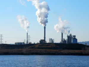 New “ILDA” Robotic Hand Combines Delicacy and Strength - Modern Sciences