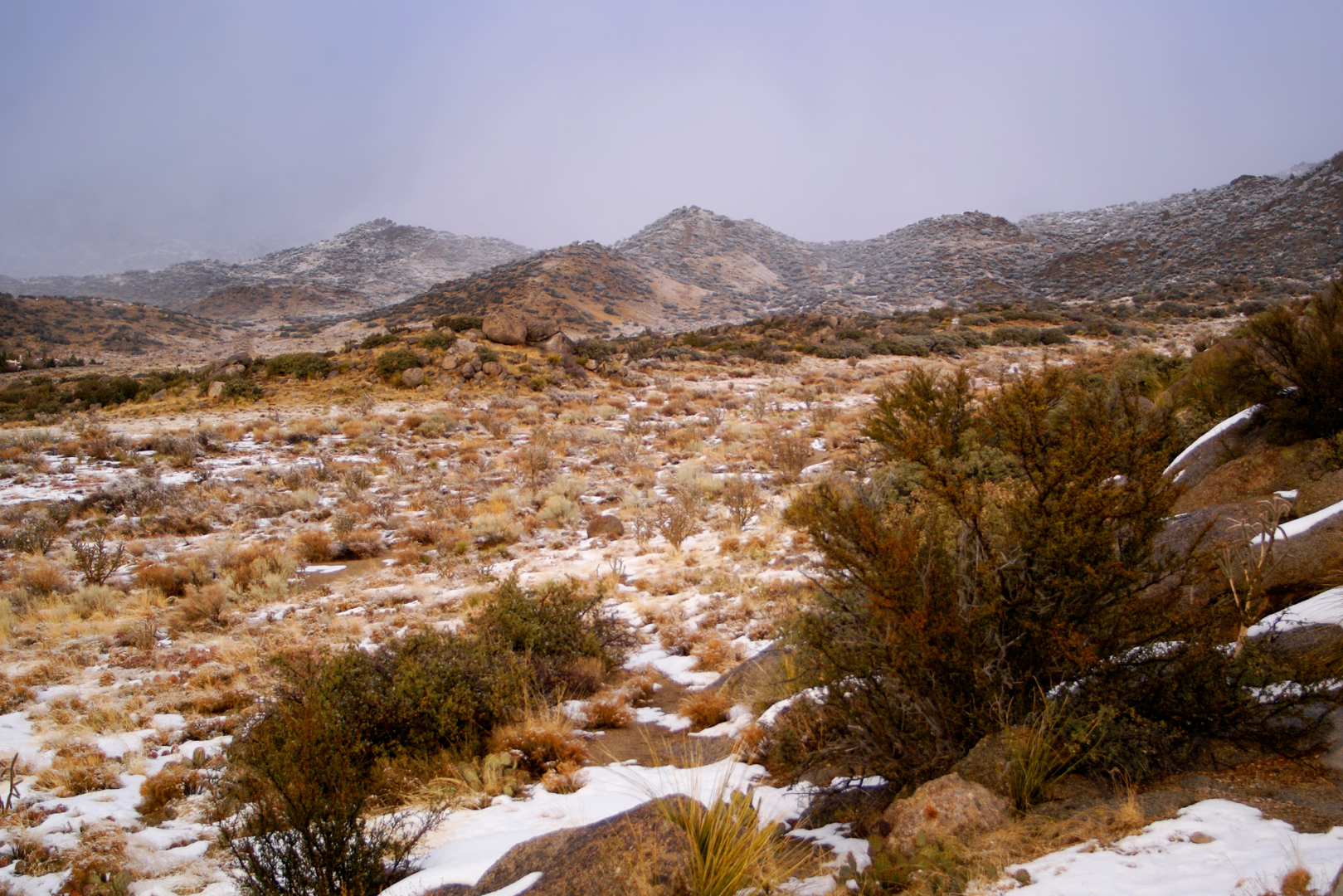 Snowfall in the Sahara desert: an unusual weather phenomenon - Modern ...