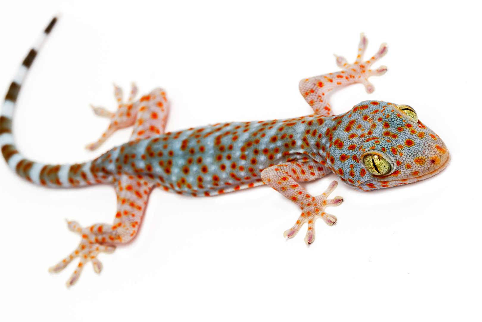 We’re Redefining What It Means to be “Sticky”—And We’re Taking Lessons ...