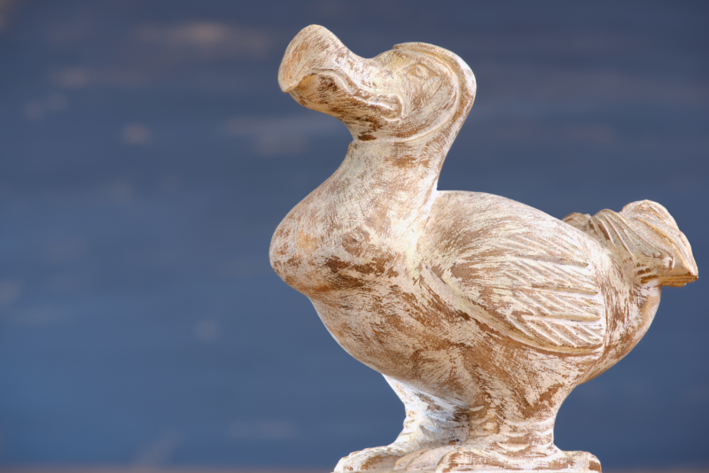 A Biotech Startup Plans to Bring Back the Dodo—All the Way to Their ...