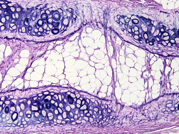 Can a daily nap do more harm than good? A sleep researcher explains ...