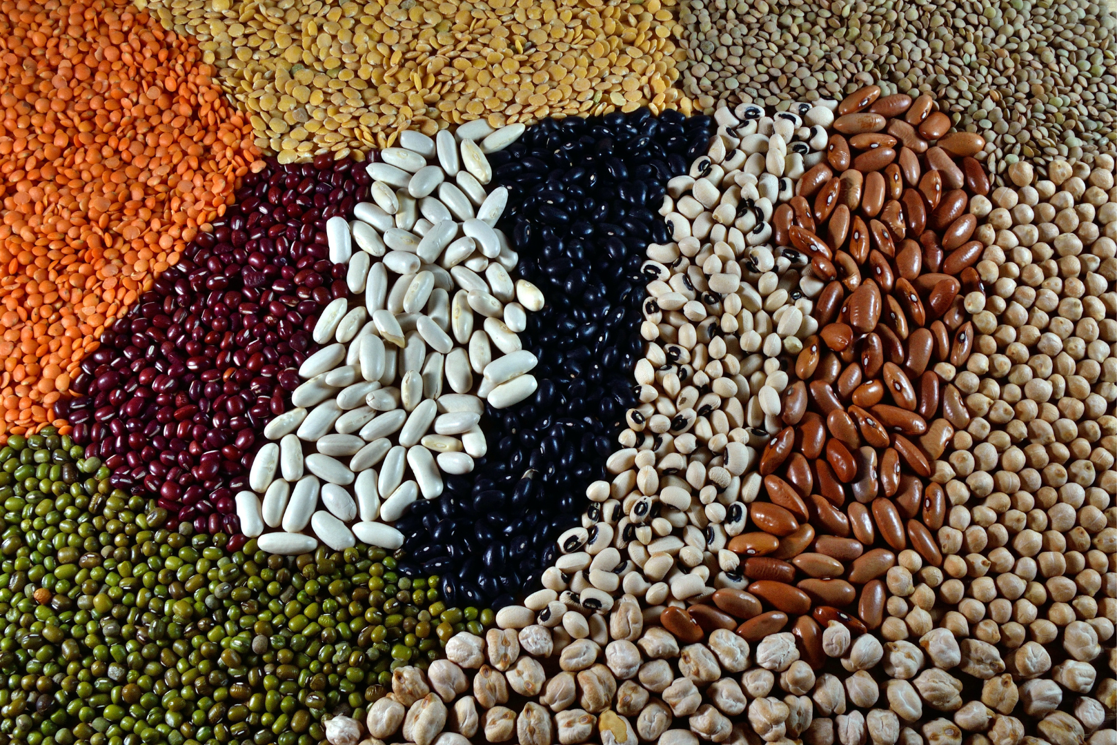 Pulses are packed with goodness: Five cool things you should know about ...