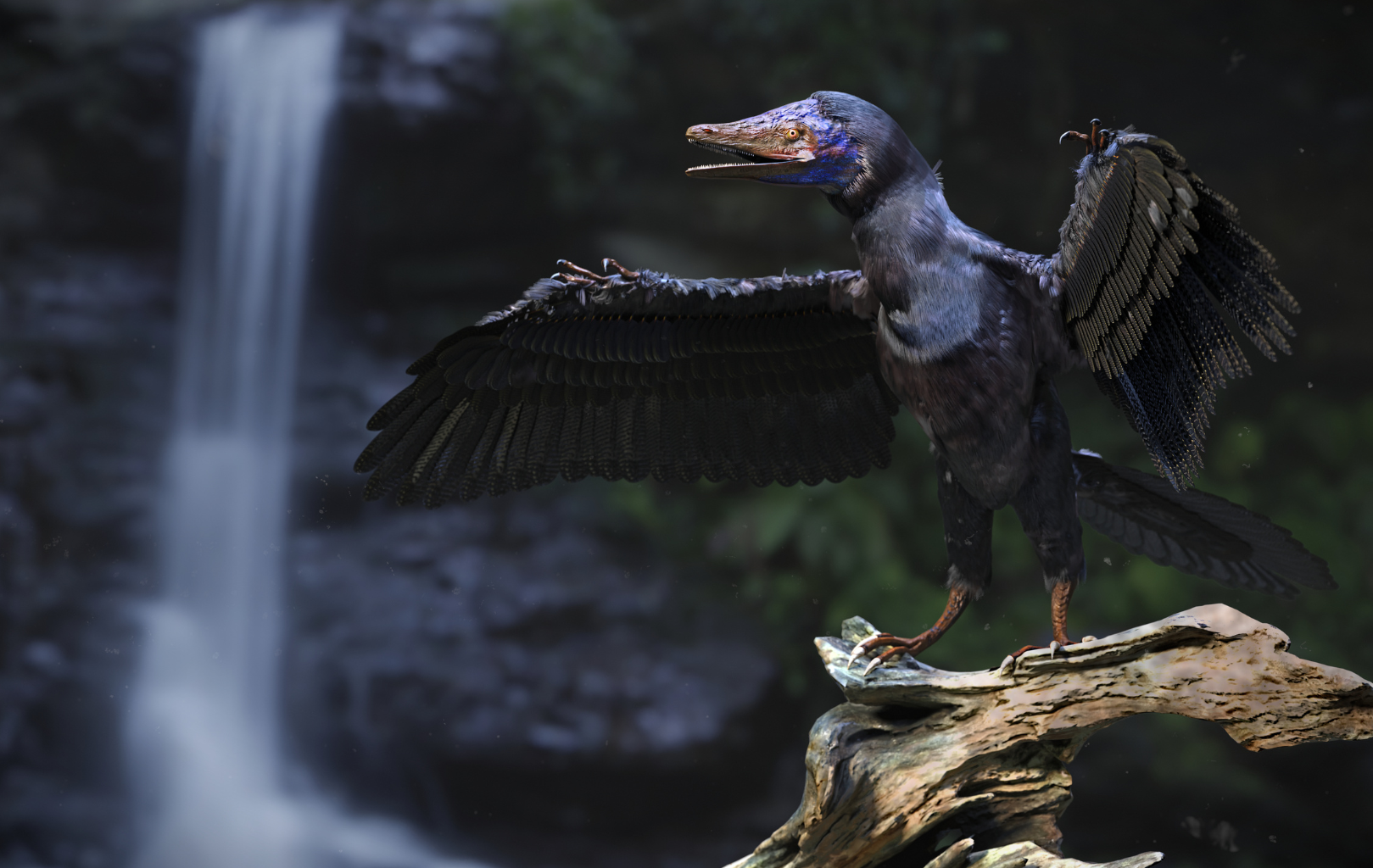 How did birds survive while dinosaurs went extinct? - Modern Sciences