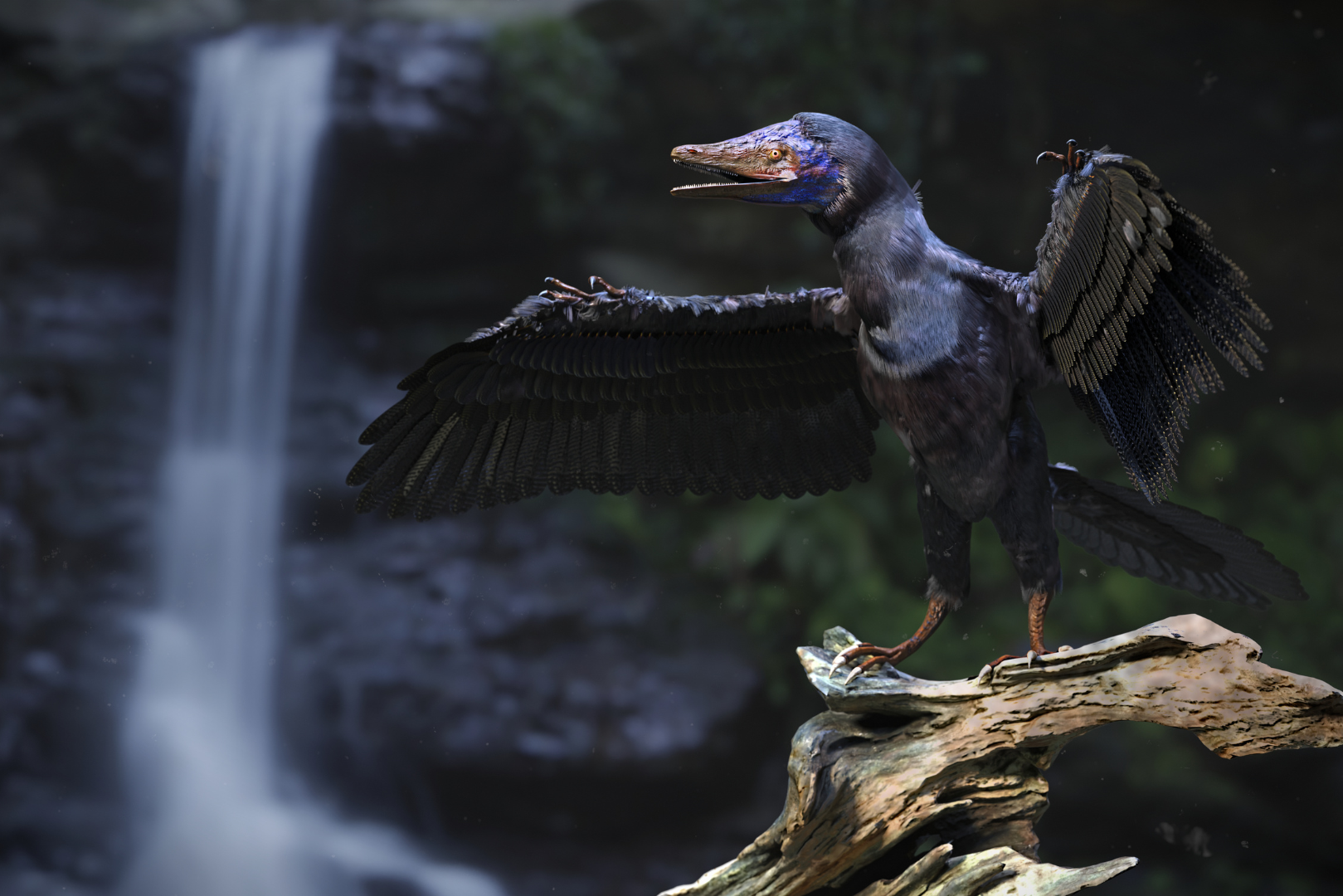 How did birds survive while dinosaurs went extinct? - Modern Sciences