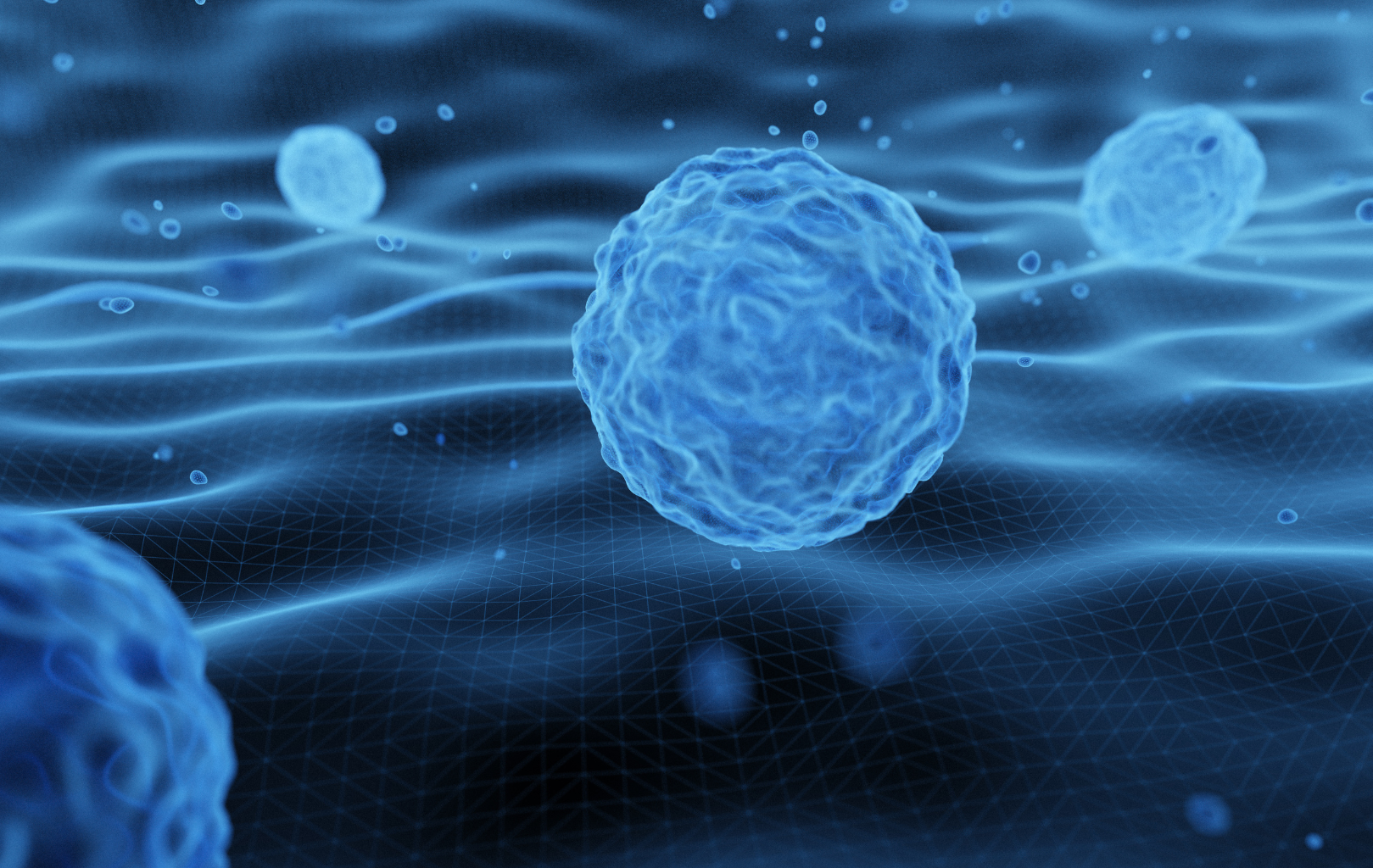 Researchers Create Embryo-like Structures from Monkey Cells - Modern ...