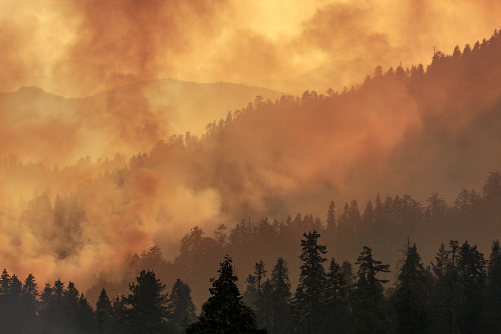 New Study Shows Wildfires Emitting Seven Times More Methane than ...