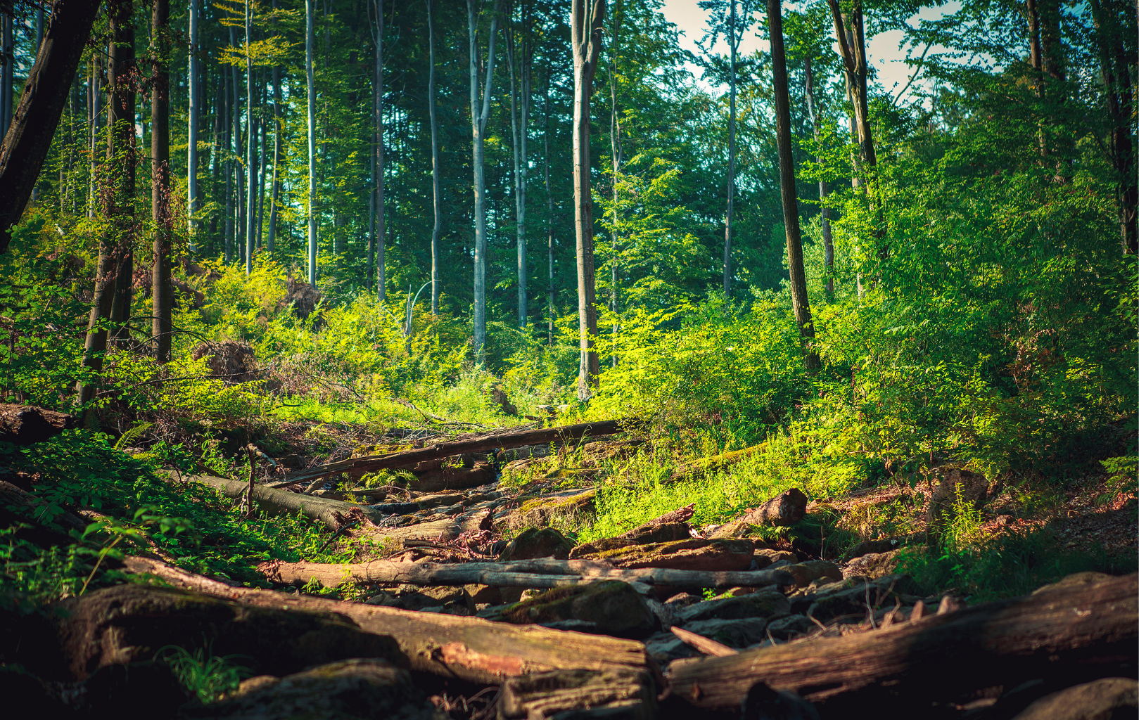 Good vibrations: how listening to the sounds of soil helps us monitor ...