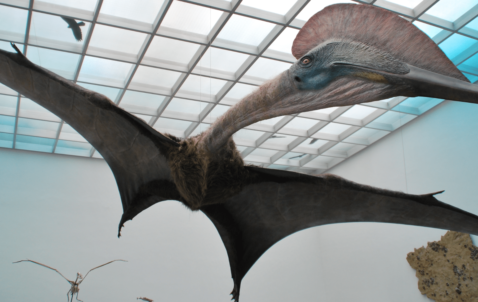 Prehistoric Planet 2: Giant Grounded Pterosaurs - Modern Sciences