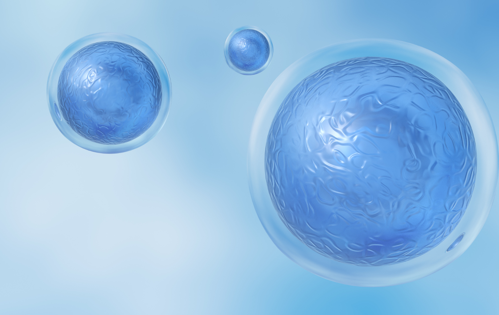Scientists have created embryo models from stem cells – it could help ...