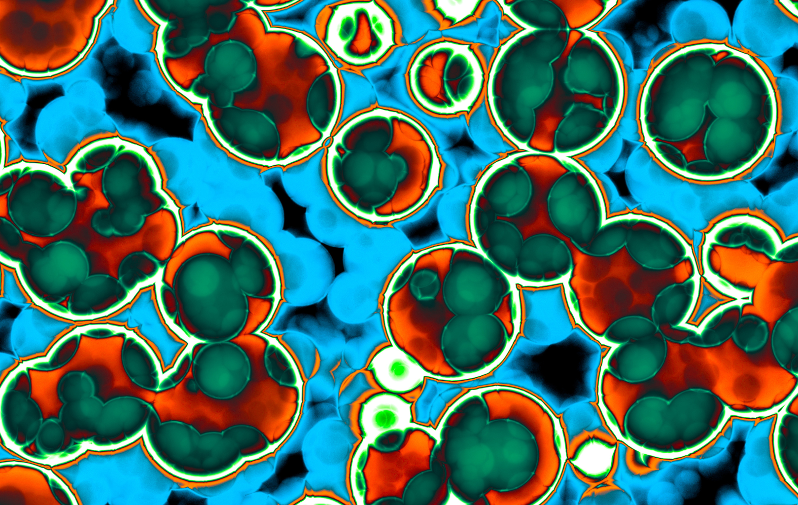 Genetically engineered bacteria can detect cancer cells in a world ...