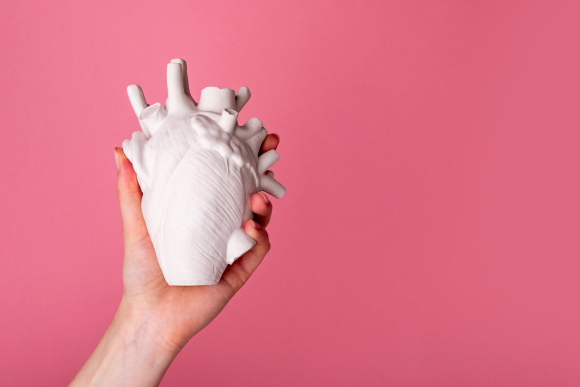 Lab-grown ‘ghost hearts’ work to solve organ transplant shortage by ...