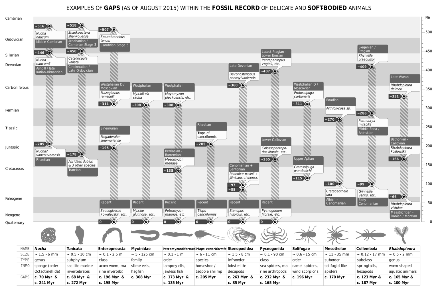 Bridging the Gap: A Look at Transitional Fossils - Modern Sciences