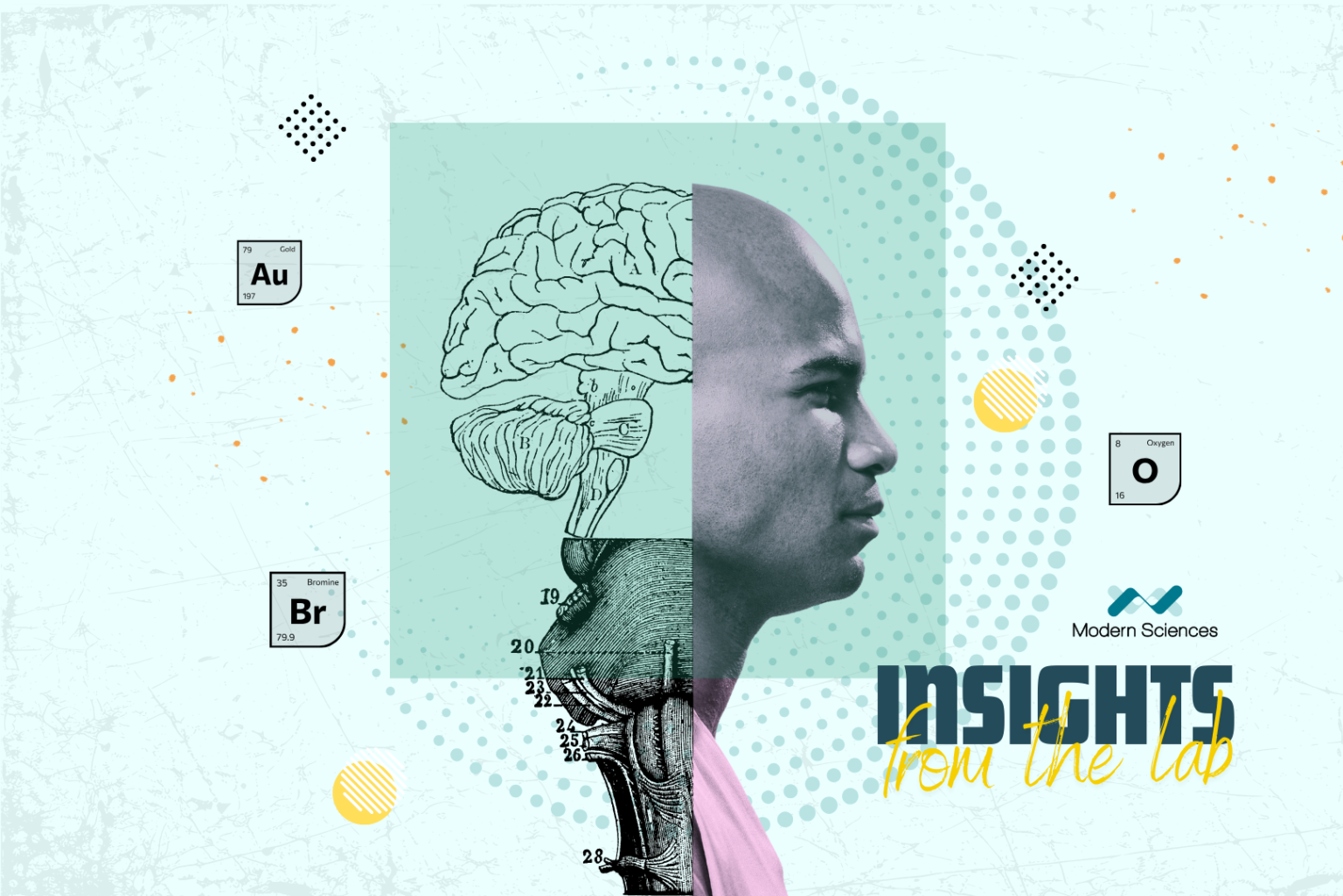 MSJ Vol. 12 Issue 2 (2023) Is Out Now! - Modern Sciences