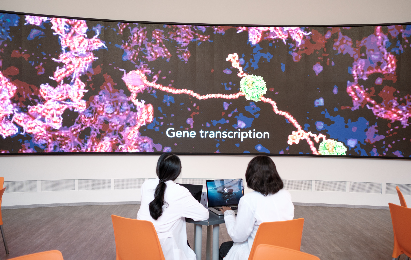 Florence Bell died unrecognised for her contributions to DNA science ...