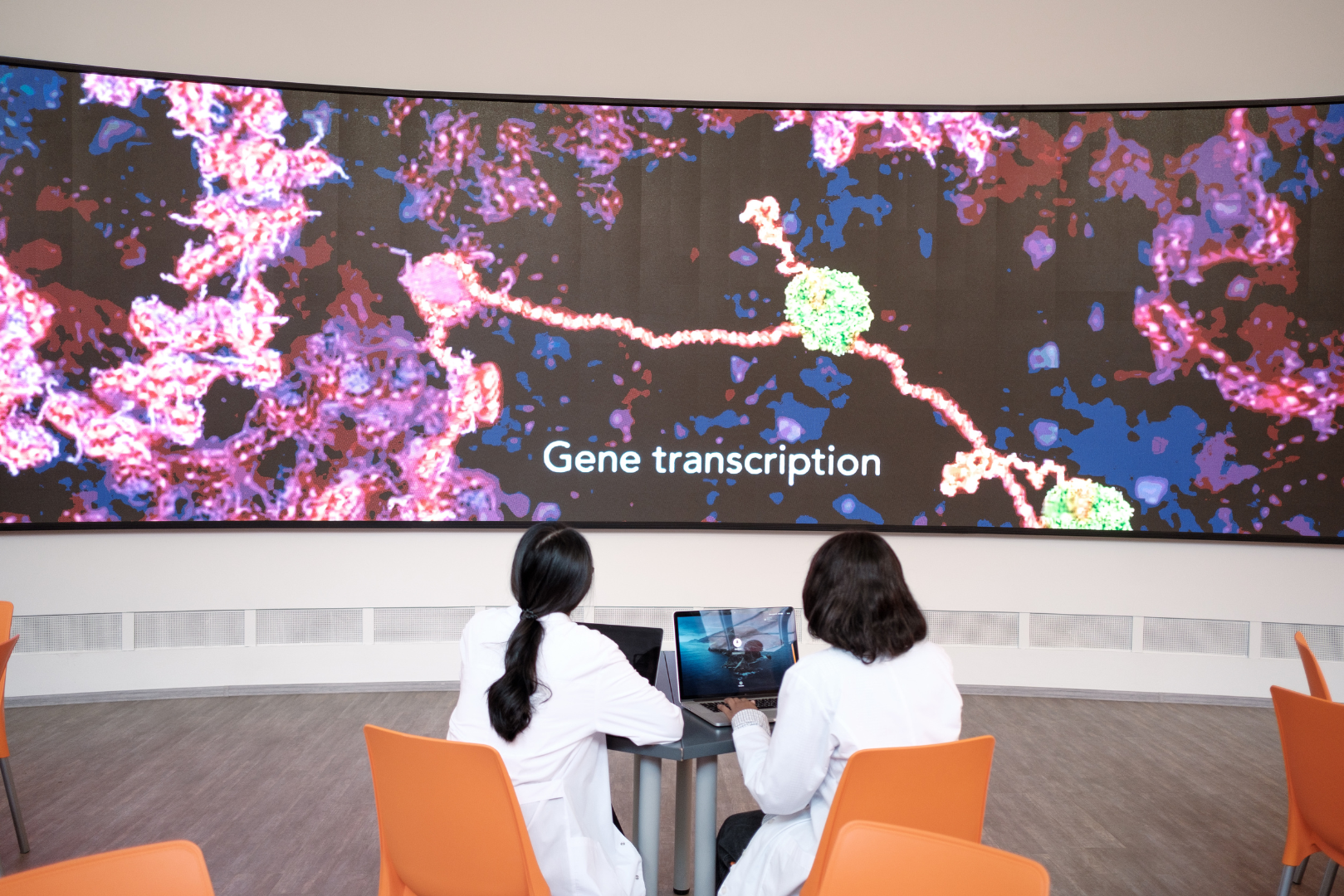 Florence Bell died unrecognised for her contributions to DNA science ...