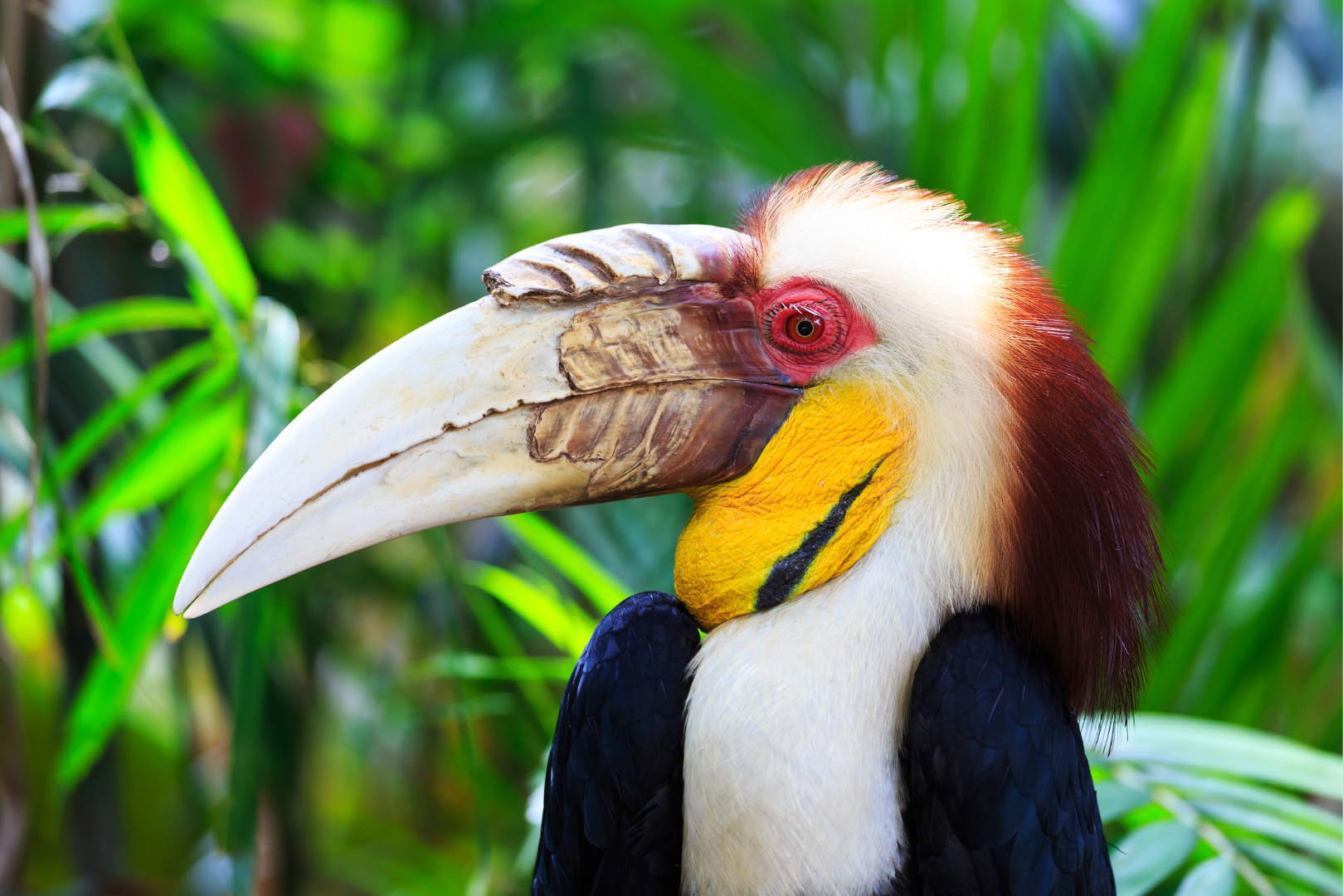 We need a single list of all life on Earth – and most taxonomists now ...