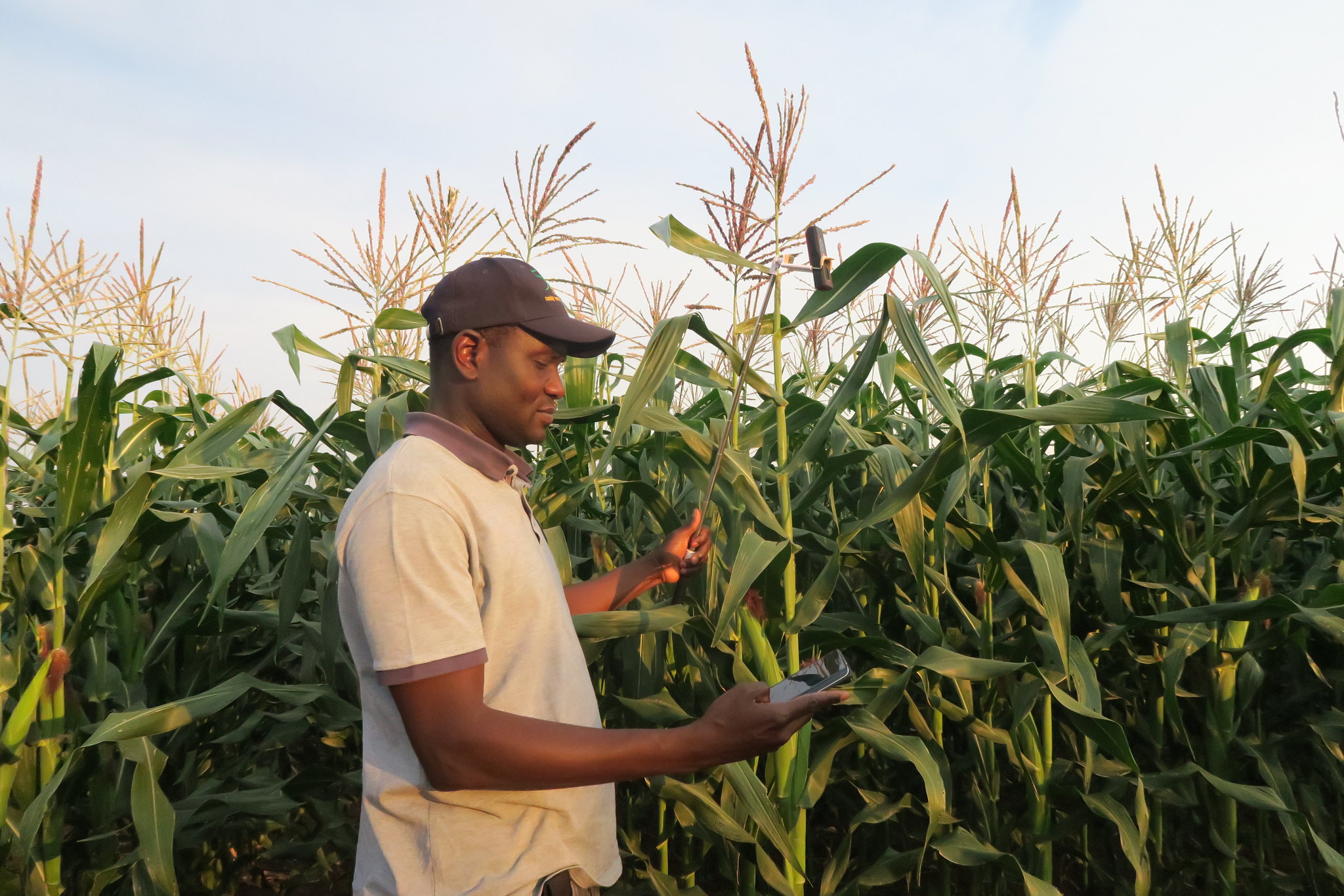 Smartphone Technology and Crop Pest Surveillance: A Review - Modern ...