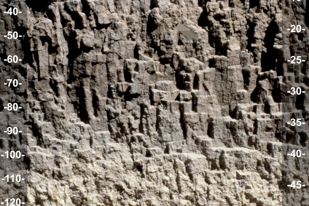 MIT Geologists Discover Powerful Carbon-Trapping Ability of a Clay ...