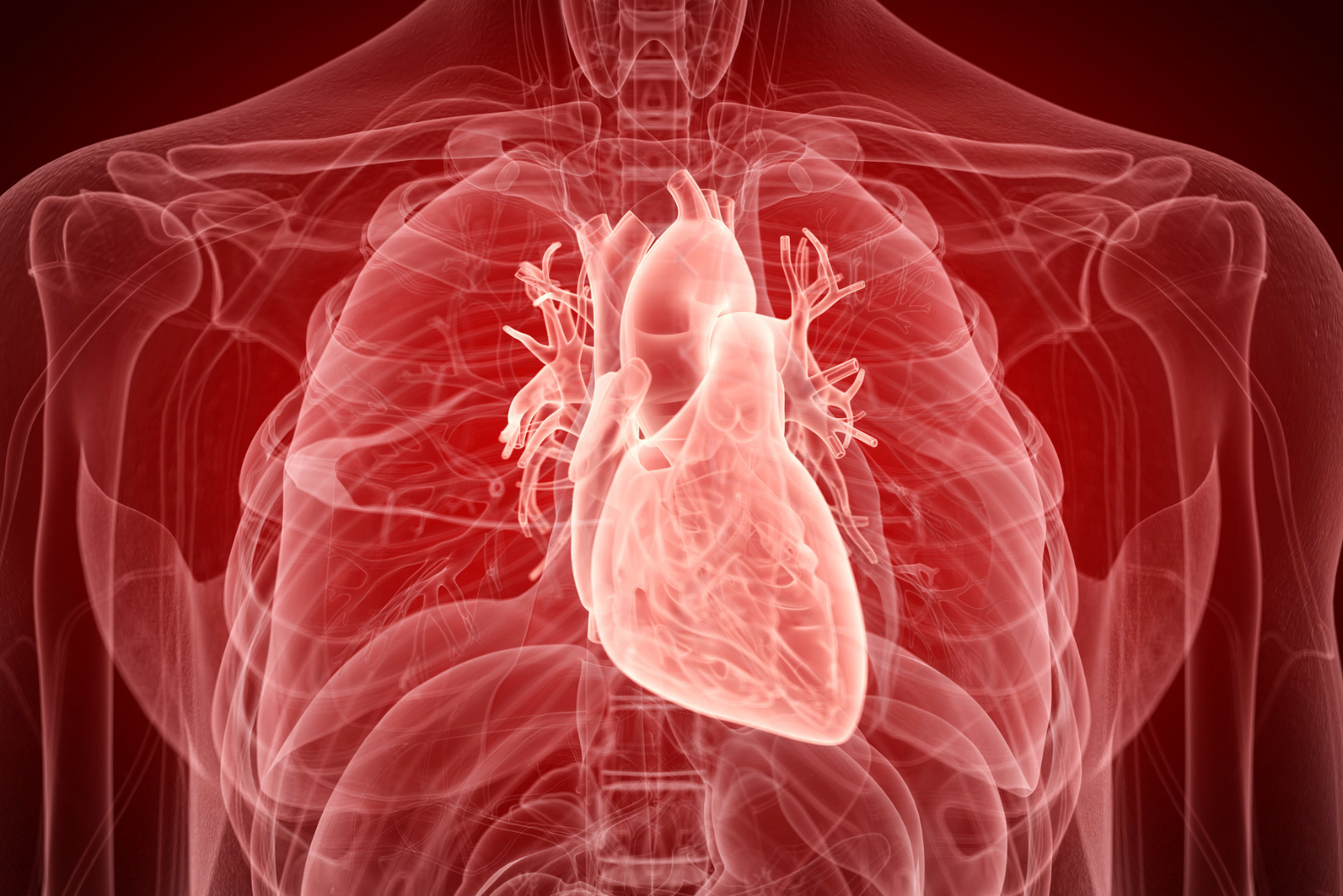 New Study Shows Restoration of Heart Function in Genetic Heart Disease ...