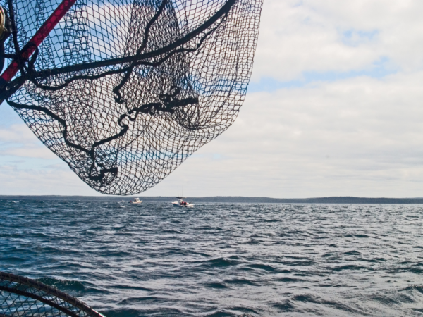 Antarctica has a huge, completely hidden mountain range. New data reveals its birth over 500 ...