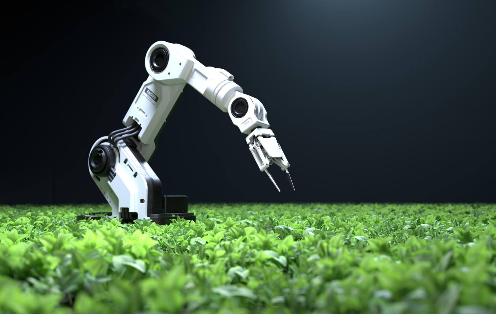 Our robot harvests cotton by reaching out and plucking it, like a ...