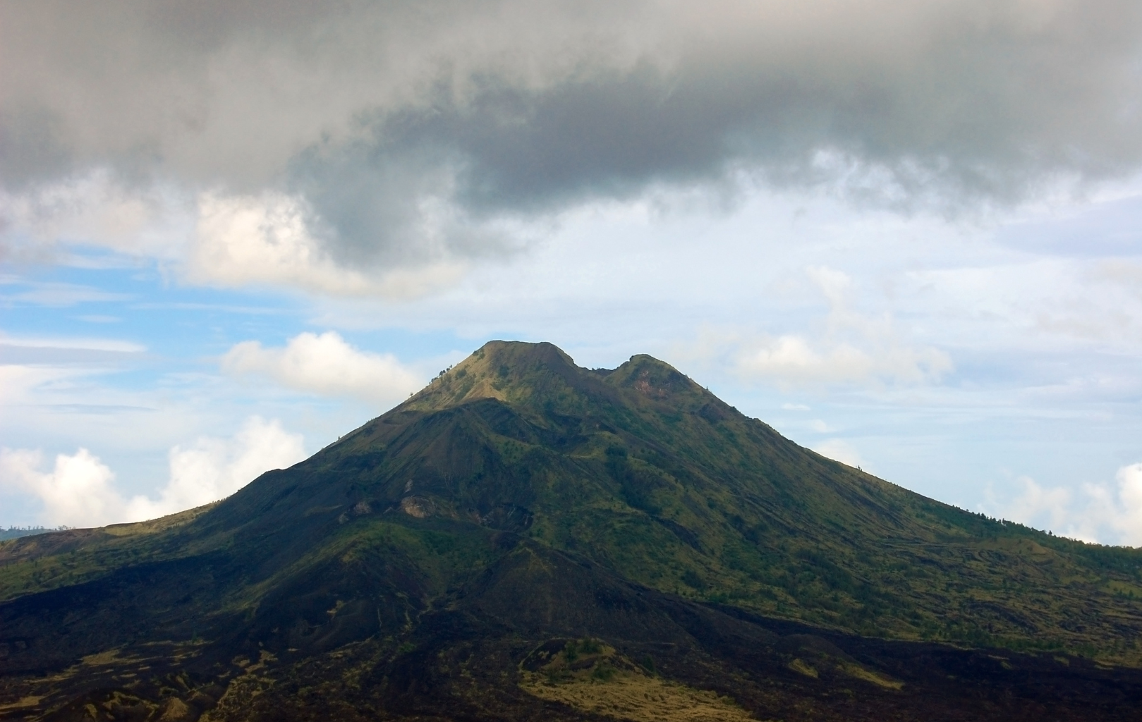 What Might the Next Mass Extinction Look Like? - Modern Sciences