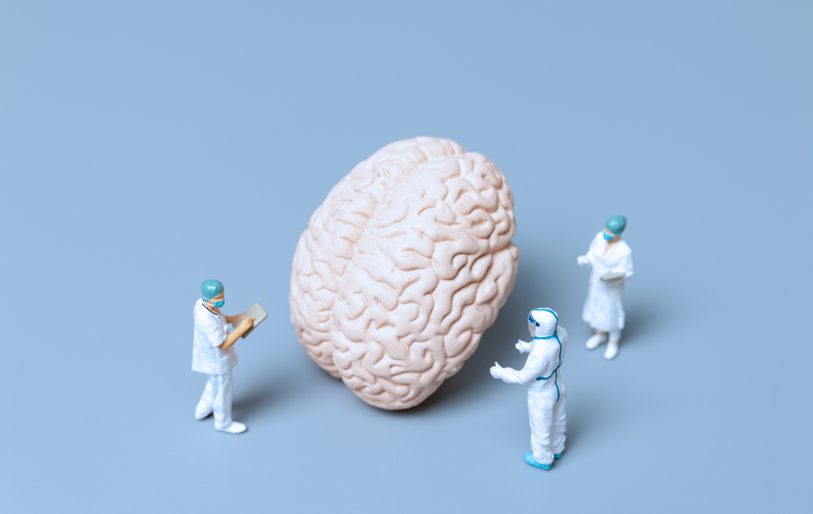 If brain transplants like the one in Poor Things were possible, this is ...