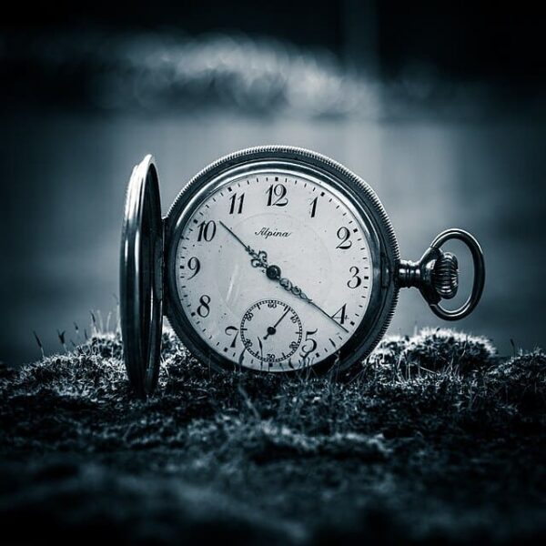 How do I know if my kid is worrying about food and their body too much ...