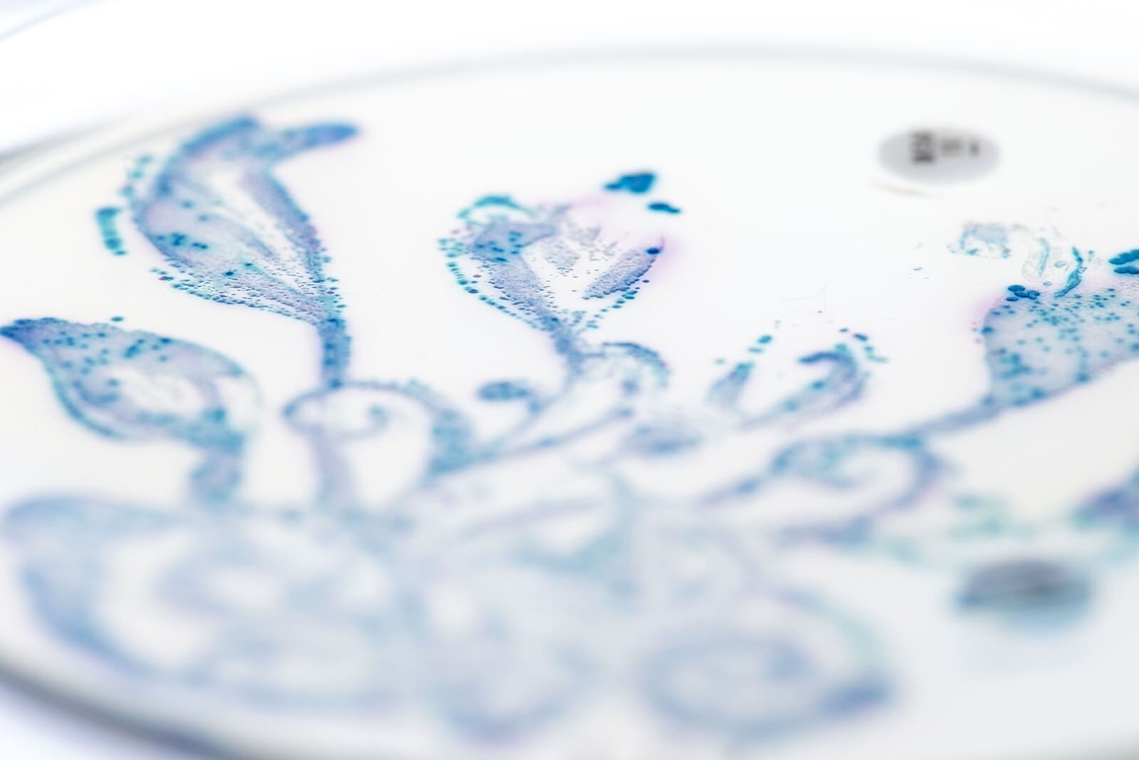 How scientists are hacking bacteria to treat cancer, self-destruct ...