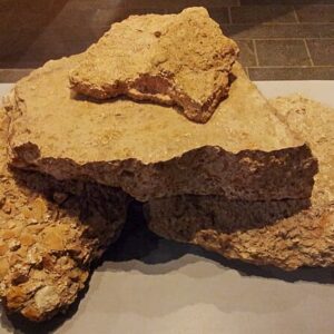 New Mathematical Discovery Could Unite Quantum Mechanics and General ...